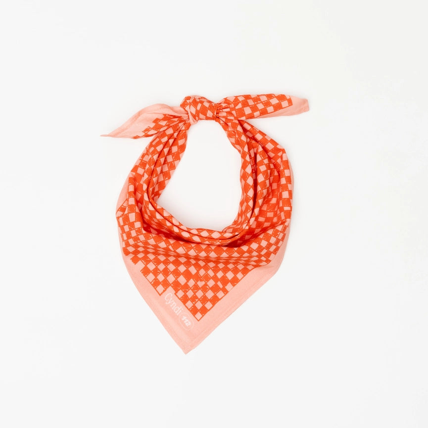 Handker Bandanas 112 Cyndi Cotton Bandana – Terra Shepherd Boutique ...